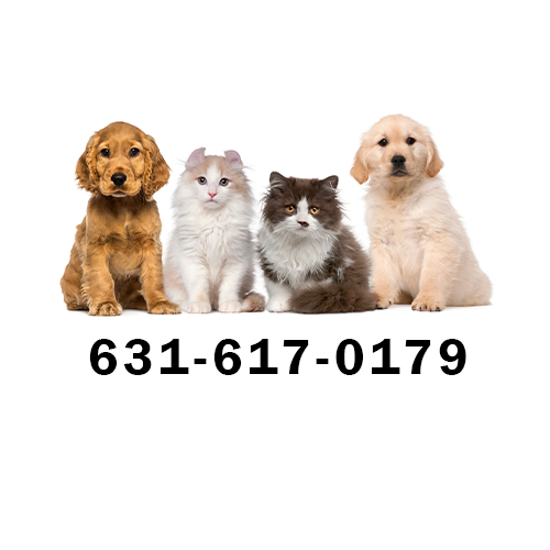 Community Service Programs For People In Need – Theresa's Programs LLC